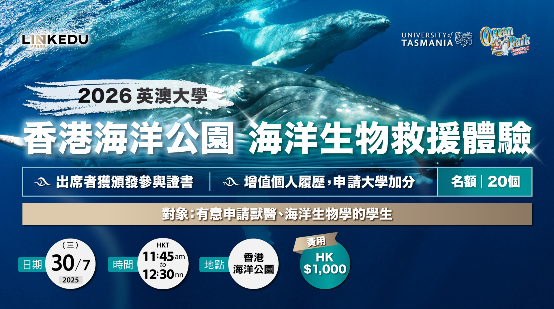 2026 英澳大學｜香港海洋公園 海洋生物救援體驗 | LINKEDU 海外升學